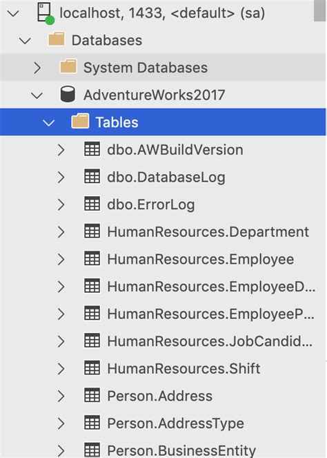 How To Connect Your Microsoft SQL Server Docker Container With Azure Data Studio