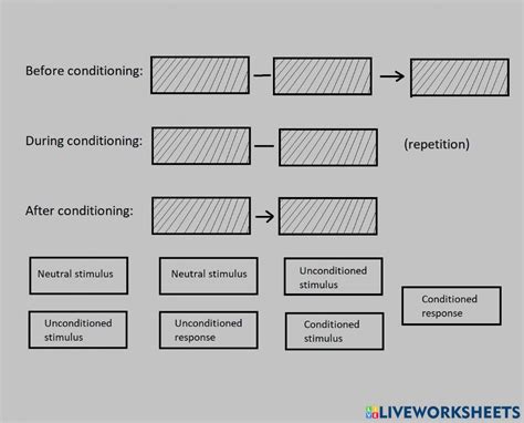 7069545 Classical Conditioning Guidodb