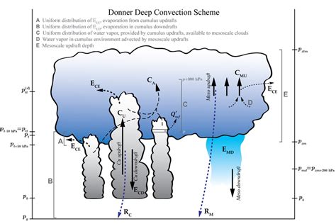 Diagram Of Selected Physical Processes Represented In The Donner Deep Download Scientific