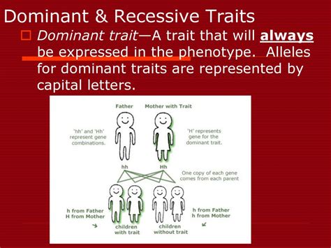 73b Cell Processes And Genetics Ppt Download