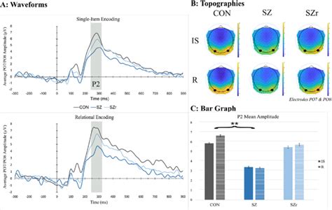 Neural Response During Encoding Mean Amplitude During Encoding Of