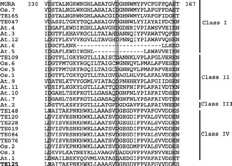 Multiple Alignment Of The Transposase Catalytic Site The Numbers Refer Download Scientific