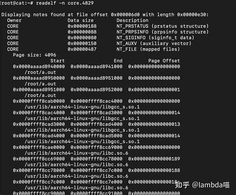 Linux Coredump 生成原理剖析 知乎