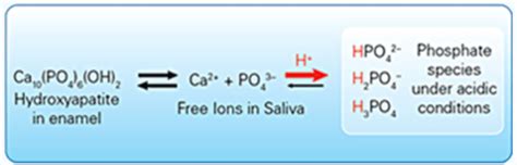 Tricalcium Phosphate In Toothpaste Benefits And Safety 1311 Jackson