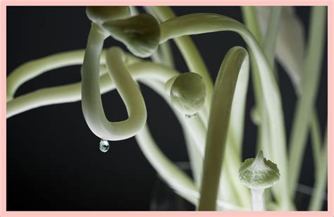 Professor Susan Luckman Catherine Truman And Kath Inglis Mentor Mentee A Creative