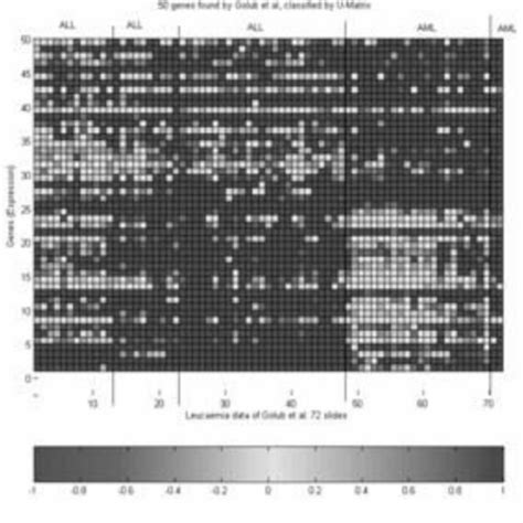 Leukemia Gene Expression Data By Golub Et Al Kaggle