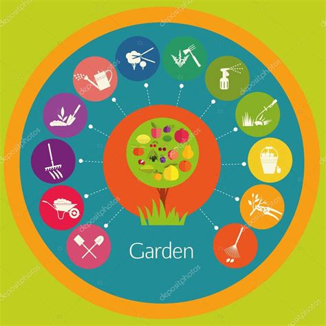 Stages Of Cultivated Plants — Stock Vector © Alfaolga 76041123