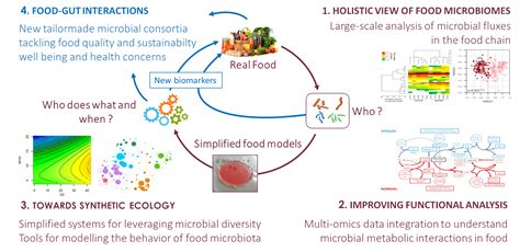 Food Microbial Ecology Lab Food Microbial Ecology Lab