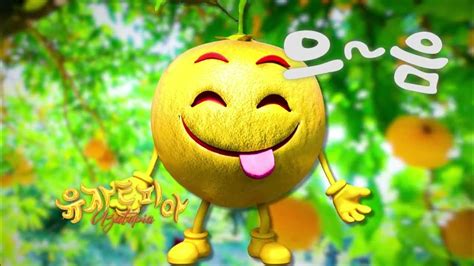 2024 제4회 고흥유자축제 11월 7일 ~ 11월 10일 Youtube