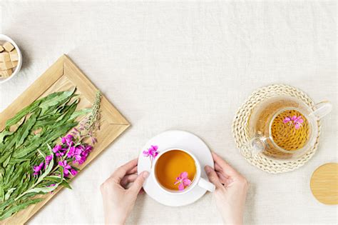 직물 테이블 배경에 컵에 Kipreya 잎에서 허브 차를 들고있는 여자 손 나무 쟁반에 Fireweed 녹색 잎과 꽃 천연 야생