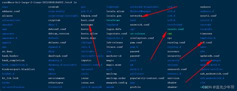 Linux各目录及每个目录的详细介绍usr Local Lib在哪 Csdn博客