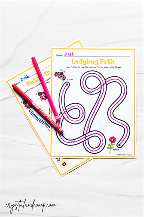 Ladybug Line Tracing Printables