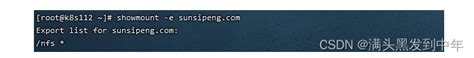 docker搭建nfs服务器（超简单 docker nfs csdn博客