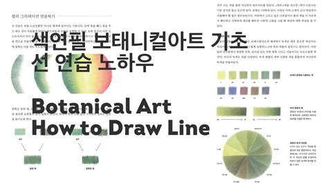 보태니컬아트 색연필 기초 선 연습 노하우 How To Draw Line Youtube