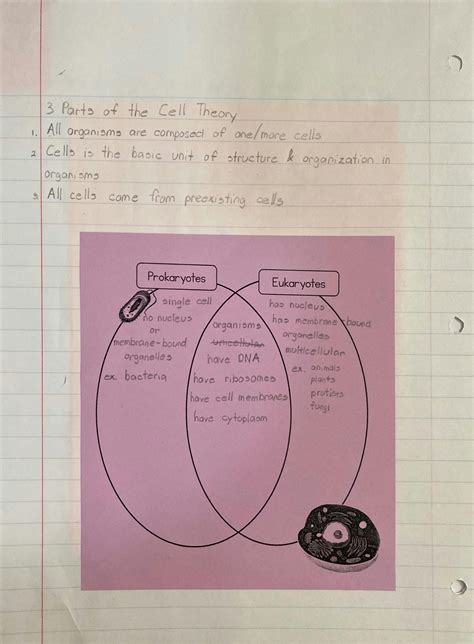 SOLUTION AP Biology Unit 2 Cell Structure Function Studypool