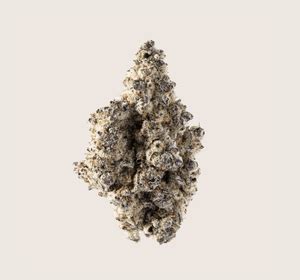 How To Unclog A Pen A Quick Tutorial