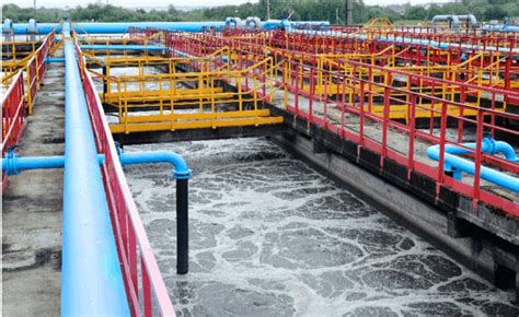 Tìm hiểu api trong dược phẩm là gì và vai trò quan trọng trong sản xuất thuốc