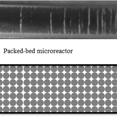 Packed Bed Microstructured Reactors Download Scientific Diagram