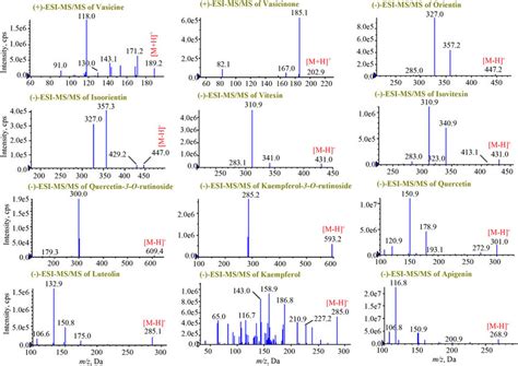 Msms Spectrum Of Selected Analytes Download Scientific Diagram Msms Spectrum Of Selected Analytes Download Scientific Diagram