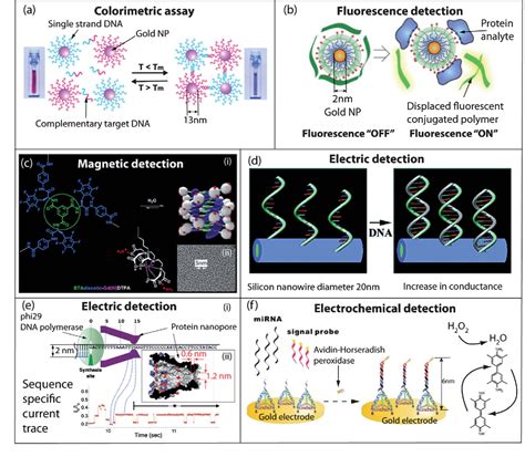 Figure 1 From Supramolecular Self Assemblies As Functional Nanomaterials Nanoscale Semantic