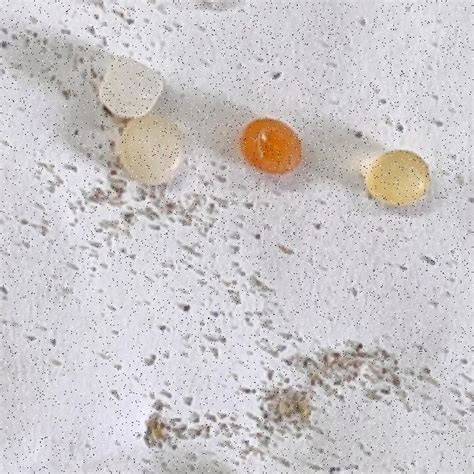 Microplastic V2 Object Detection Dataset And Pre Trained Model By Luis