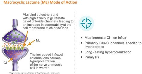 Moxidectin Vs Ivermectin