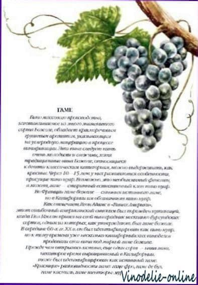 Сорта черного винограда ️ - Сорта винограда