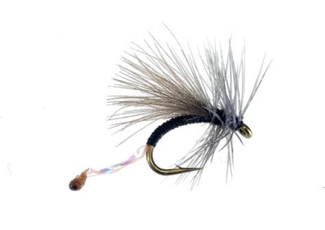 Morgans Midge