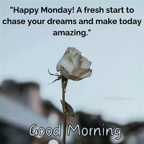 300 Good Morning Happy Monday Images With Quotes
