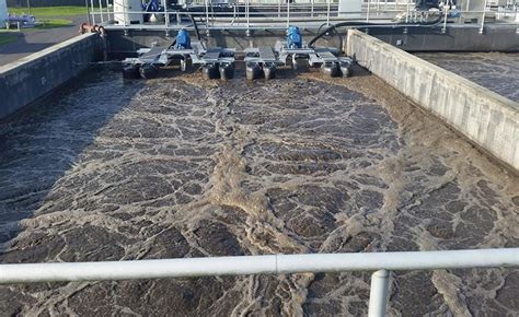 The Difference Between Cationic Polyacrylamide And Anionic Polyacrylamide By Alex Chen Medium