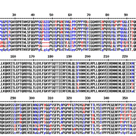 protein sequence alignment of mammalian oct4 proteins protein