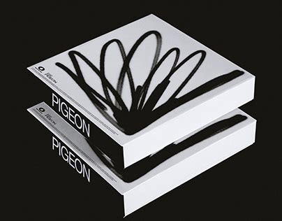 UX Project Presentation Behance