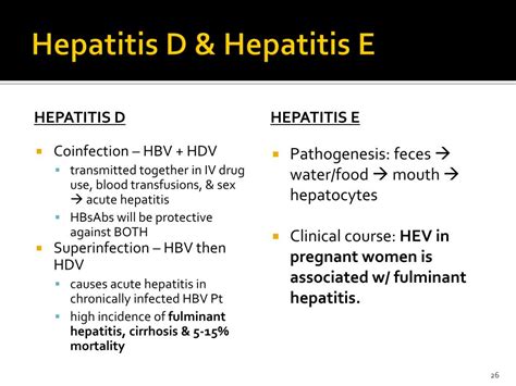 Ppt Viral Hepatitis Powerpoint Presentation Free Download Id1966842