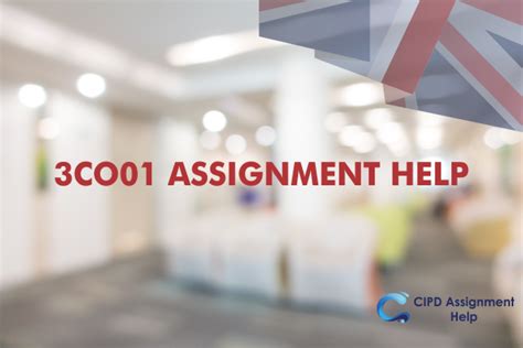 CO Assignment Example