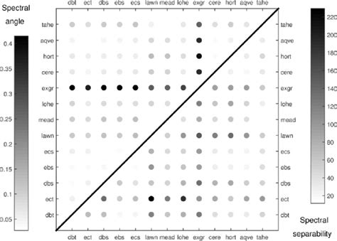 Spectral Angle Upper Left Triangle And Spectral Separability Lower