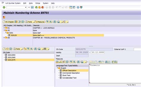 Transfer Commodity Code From Sap Gts To Sap Ecc System Sapboost Com
