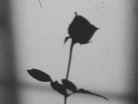 Learning About Sex And The Mother Daughter Bond By Deborah Mcdow The Interstitial Medium