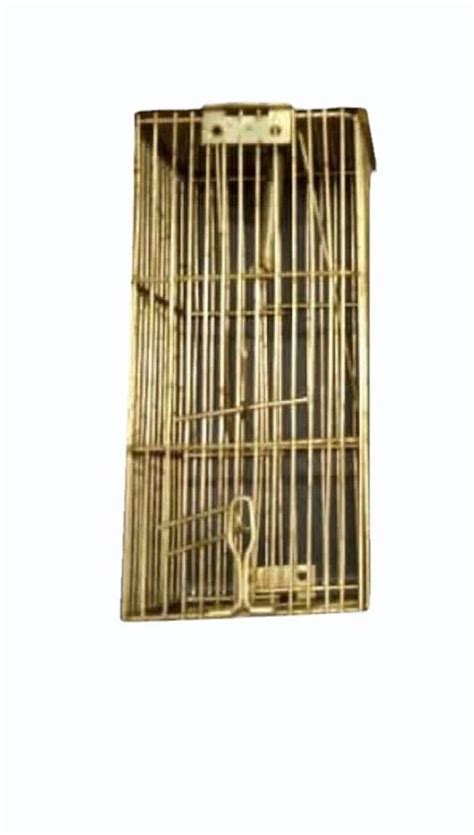 Rat Cage Trap Rat Holding Crate Latest Price Manufacturers And Suppliers