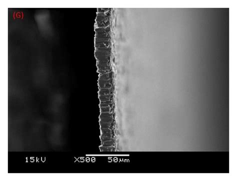 Cross Section Morphologies Of Chemical Etching Under Different Times
