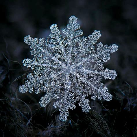 Alexey Kljatov Captures Snowflakes In Unique Photography