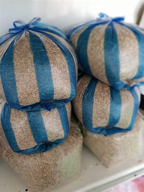 Ногоон харш ХХК Зүлэгний үр зарж байна 1 кг үр 23 0