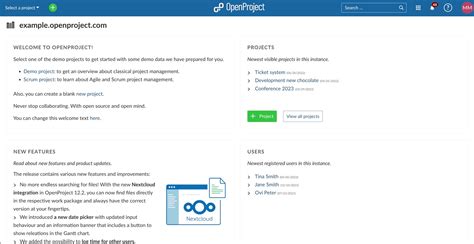 Project Portfolio Management Ropenproject