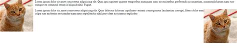 Css How Do I Stack Two Divs Onto Eachoter In Html Stack Overflow