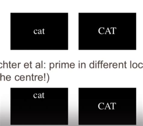 Lecture 7 Attention 2 Flashcards Quizlet