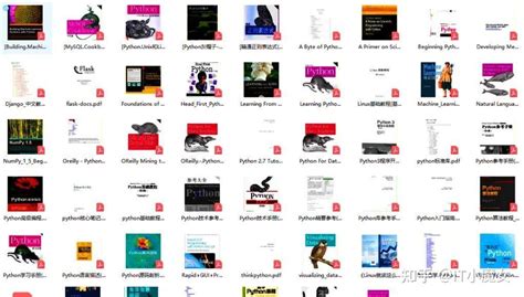 2025 年 01 月编程语言排行榜｜python再次称霸编程界，c语言失宠，c 和java崛起 知乎