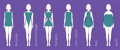 Lean Body Type