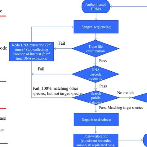 Dna Barcode Validation Workflow Download Scientific Diagram