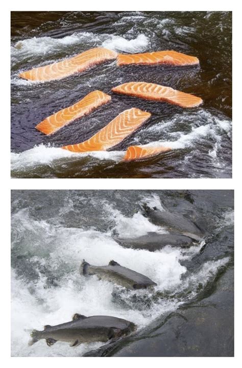 Ai Technology Future Work Computing Enrico Gallorini