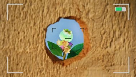 The Tiny Chef Show Season 3 Episode 2 Fwendsgiving Feastblueberry Crumble Watch Cartoons