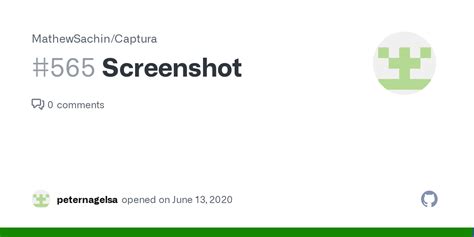 Screenshot · Issue 565 · Mathewsachin Captura · Github